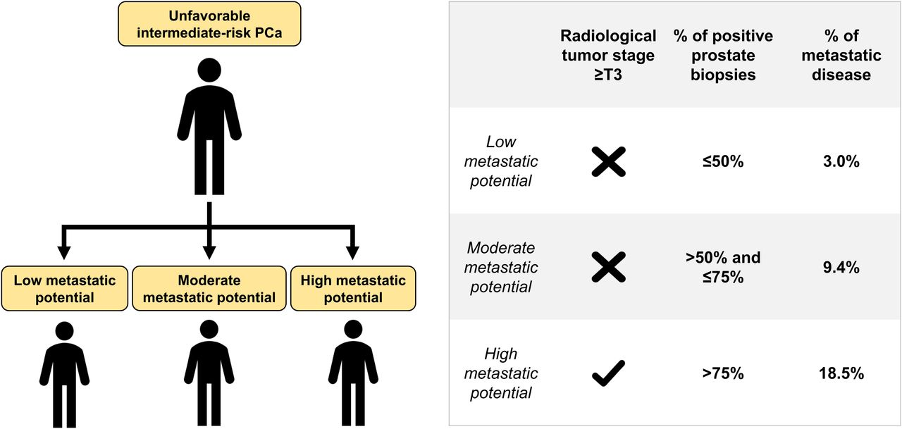Unfavorable Intermediate-Risk Prostate Cancer: A Comprehensive Guide