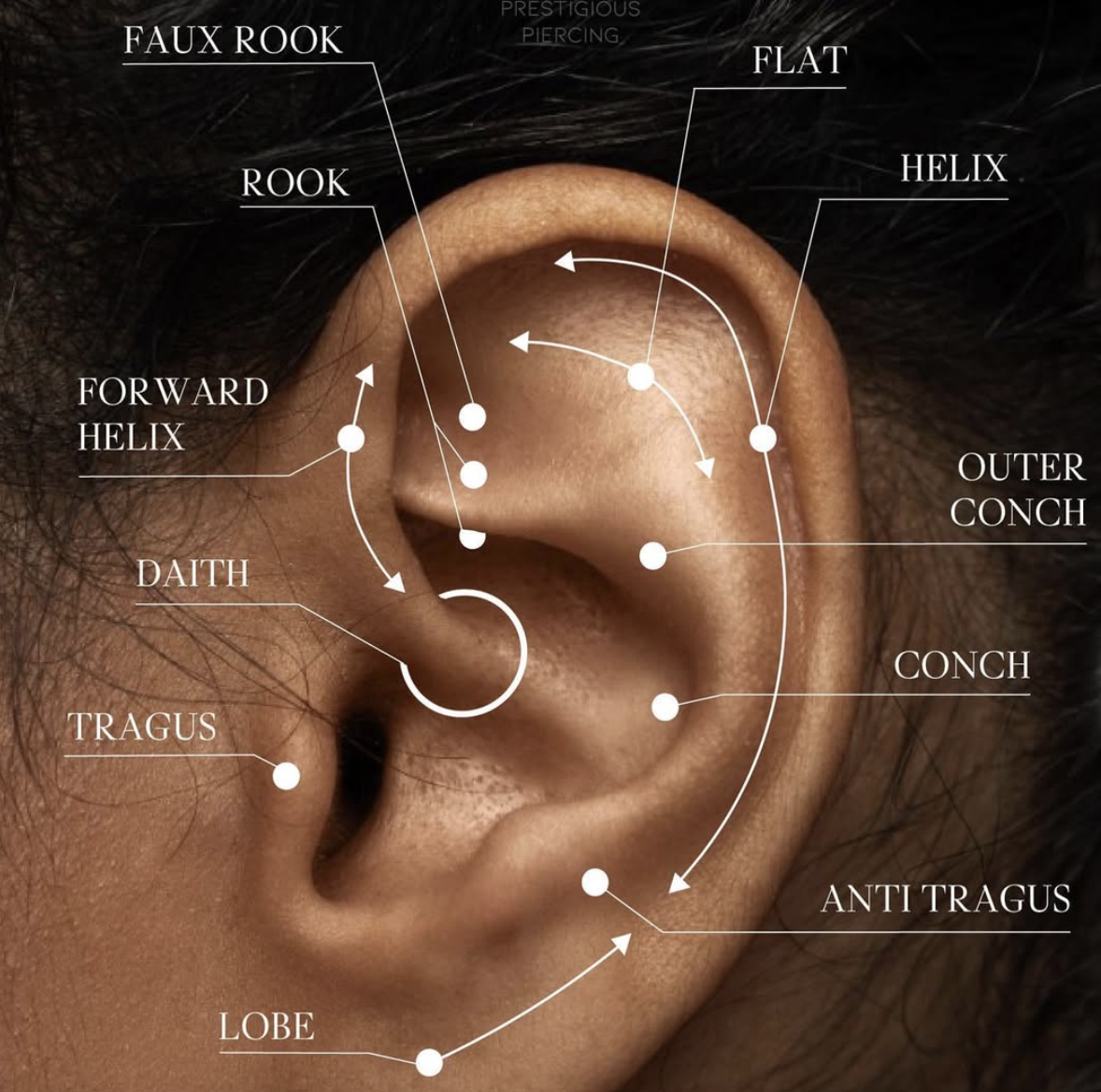 Rook Piercing: What You Should Know
